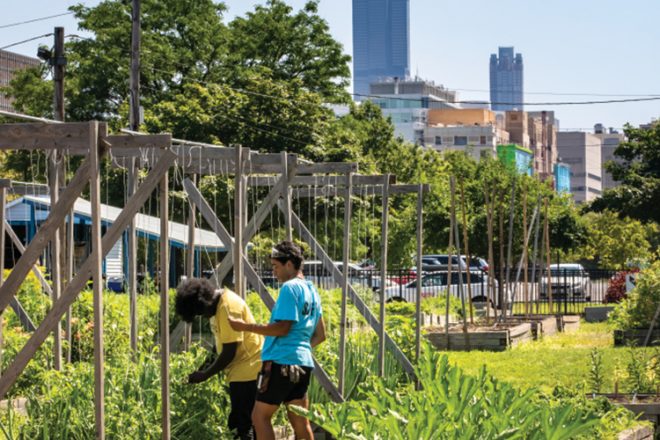 Urban Gardens Flourish In Chicago - Illinois Farm Bureau Partners