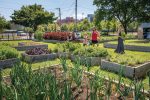Urban Gardens Flourish In Chicago - Illinois Farm Bureau Partners