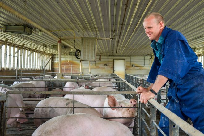 Porktober: Time To Salute Pork - Illinois Farm Bureau Partners